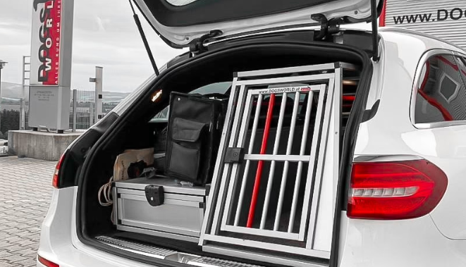 Maak je eigen unieke honden autobench!