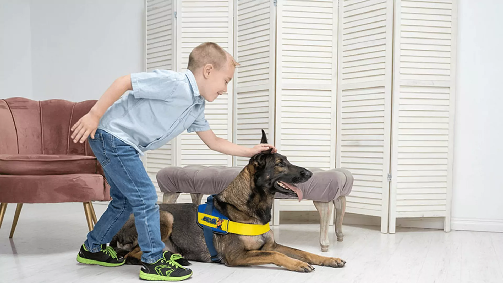 Wat is de magie van een therapiehond?