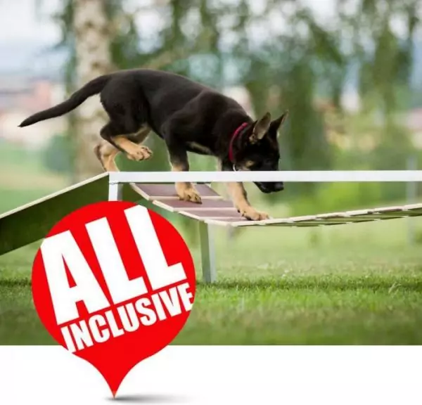 Puppy complete set | Puppy toestel | Bij K9 Shop