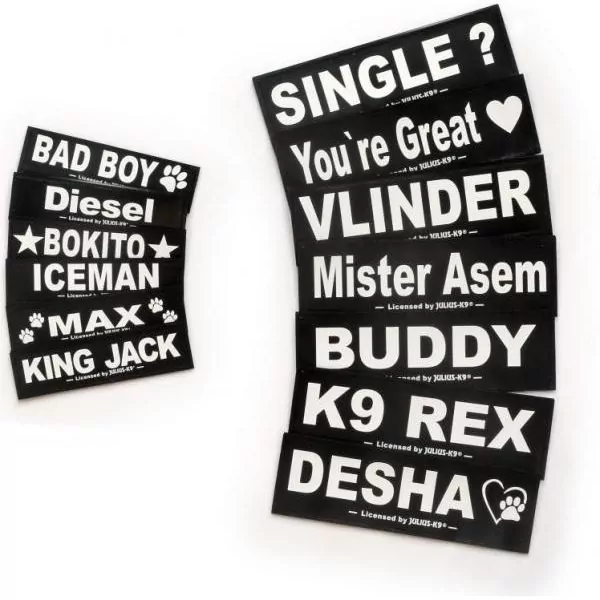 Julius K9 Eigen Naam Label Per Stuk - Enkel de naam | Bestel nu